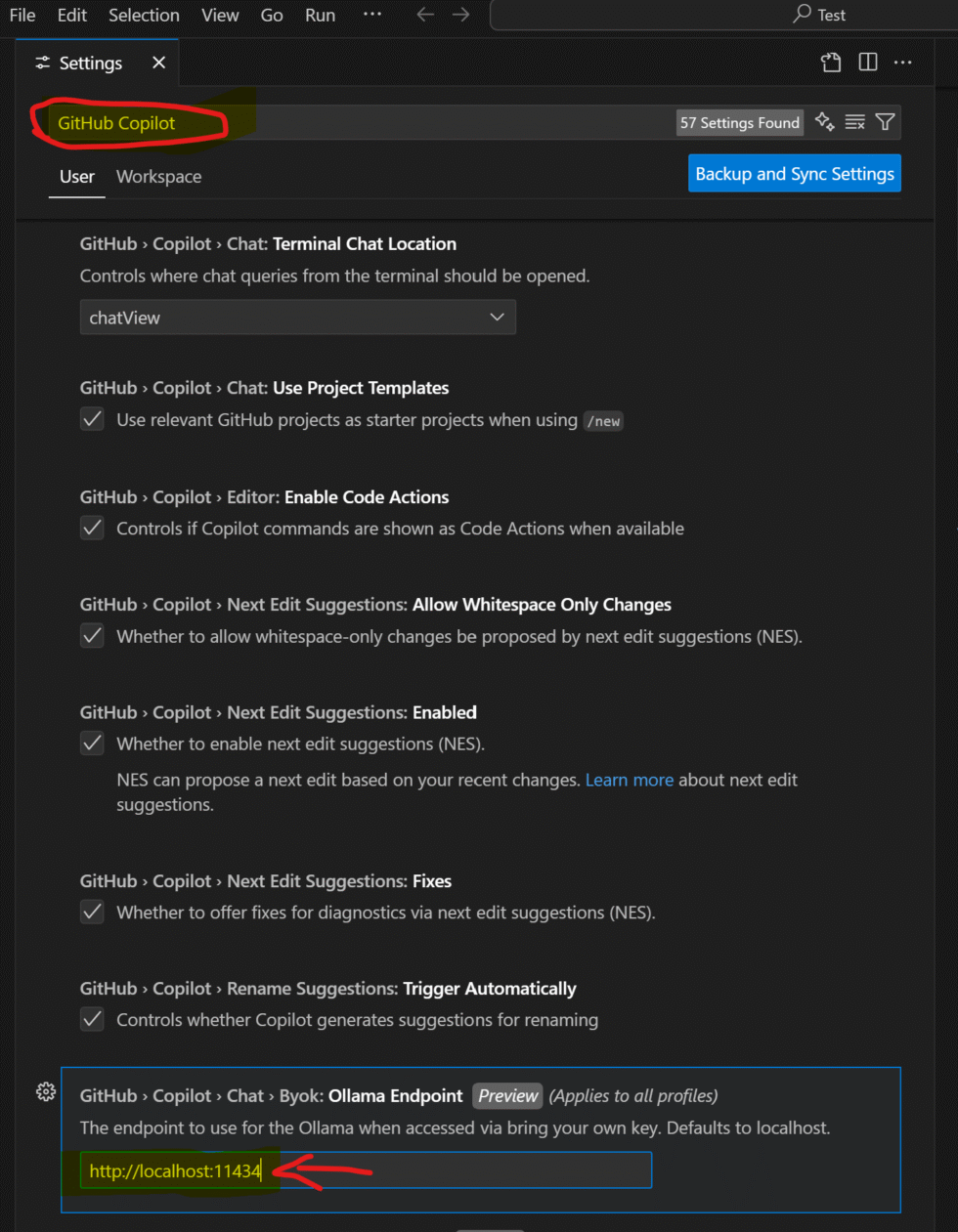 How to Enable GitHub Copilot in VS Code with an Ollama Server Endpoint | iMan